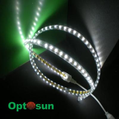 China Outdoor Decoration 220V Led Rope Light SMD 5050 White / Yellow / Red / Green / Blue for sale