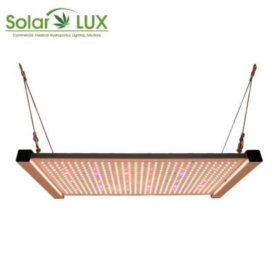 Cina la tenda 3x3 di 240Watt Seoul 395nm Osram 730nm ha condotto la luce progressiva in vendita