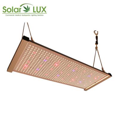 Cina la tenda 3x3 di 240Watt Seoul 395nm Osram 730nm ha condotto la luce progressiva in vendita