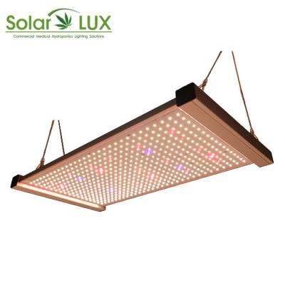 Cina la tenda 3x3 di 240Watt Seoul 395nm Osram 730nm ha condotto la luce progressiva in vendita