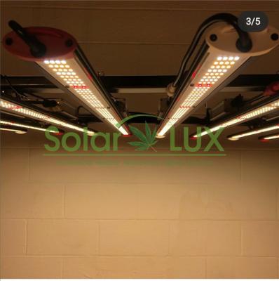 Cina Luce progressiva completa principale di spettro LED della copertura 2000w della luce della pianta in vendita