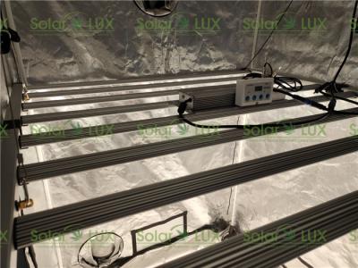 Cina Accessori della luce progressiva del collegamento a margherita LED che cronometrano attenuando PWM 0-10V che attenua regolatore in vendita