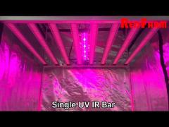 600w led grow light