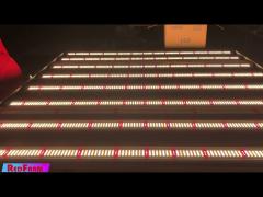 LED-Wachstumsschein mit UV-Licht mit vollem Spektrum von 1000 Watt (Leggio di luce con un‘ampiezza di 1000 Watt)