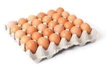 Finished egg tray product example 3