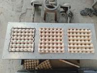 China Customized Automatic Small Egg Tray Making Machine 7.5KW Vacuum Pump Low Failure for sale