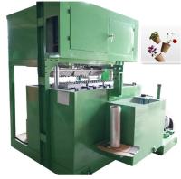 China Sustainable High Performance Automatic Pulp Molding Machine Paper Pulp Material Egg Tray Machine for sale
