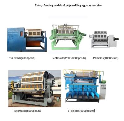 China 70-150KW  Large Capacity Customizable Paper Egg Tray Machine for Egg Tray Apple Tray Egg Carton Making with Advanced Technology and Low Energy Consumption for sale