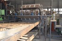 China Customized Molds Paper Pulp Molding Machine With Low Energy for sale