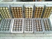 China 2 Molds Paper Pulp Egg Tray Making Machine Reciprocating Type Easy Operate for sale