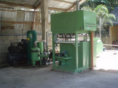 Cadena de producción amistosa de la bandeja de la fruta de Eco/de la bandeja del huevo 350 capacidad de -3000pcs/h