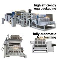 China 4000-6000pcs/h Apple Tray Egg Paper Tray Making Machine Energy Saving for sale