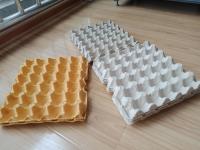 China Environment Friendly Paper Egg Tray Making Machine , Egg Carton Machine for sale