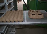 China Environment Friendly Paper Egg Tray Making Machine , Egg Carton Machine for sale