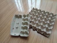 China 2 Molds Forming Egg Tray Paper Carton Making Machine Computer Control for sale