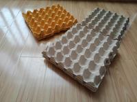 China High Efficiency Paper Egg Tray Machine Production Line Controlled By Computer for sale