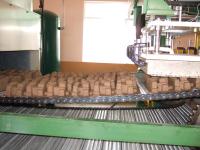 China 2 Molds Paper Pulp Egg Tray Making Machine Reciprocating Type Easy Operate for sale