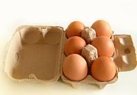 China Two Molds Egg Tray egg box Making Machine with metal dryer for sale