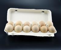 China Two Molds Egg Tray egg box Making Machine with metal dryer for sale