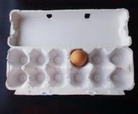 China Semi Automatic Small  Paper Pulp Molding Egg Tray Machine Egg Carton Machine PLC Controlled for sale