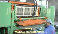 China Highly Efficient Waste Paper Egg Tray Making Machine CE & ISO Certification for sale