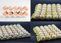 China Reliable Waste Pulp Egg Tray Making Machine Computer Controlled CE / ISO Approval for sale