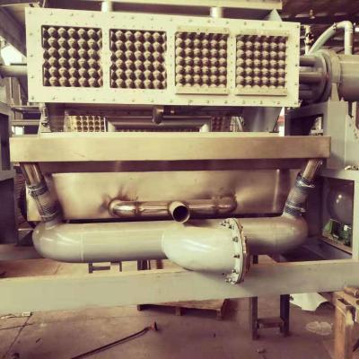 China La fruta de papel automática llena Apple del papel de máquina de la bandeja del huevo platea el plato que hace la máquina en venta