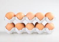 China 4000-6000pcs/h Apple Tray Egg Paper Tray Making Machine Energy Saving for sale