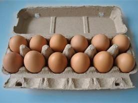 China 1 Mold Small Capacity Paper Egg Tray Making Machine Up And Down Forming Type for sale