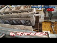 Hoge Wanyou - van de het Papierafvalpulp van kwaliteits Lage Kosten het Kleine Ei Tray Machine