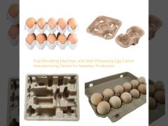 700-5000pcs/H Pulp Moulding Machines Steel Processing Egg Carton Manufacturing Device For Seamless Production