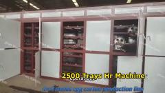 2500pcs/hr Egg Tray Machine Low Investment Startup