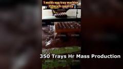 Egg Tray Machine 3000pcs hr Mass Production