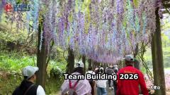 Double Lin Team Building Activities 2026