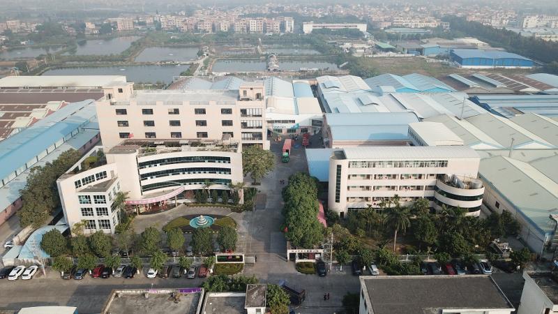 Fornitore cinese verificato - Guangdong Dadi Weiye Packing Industrial Co., Ltd.