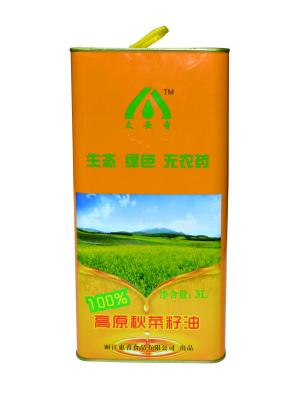 China DADI Rectangular Square Packaging 2L Tinplate Metal Soybean Food Oil Can with Carry Handle for sale