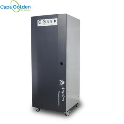 China Laboratory PSA Nitrogen Machine Cruise II PSA Type Nitrogen Generator for sale