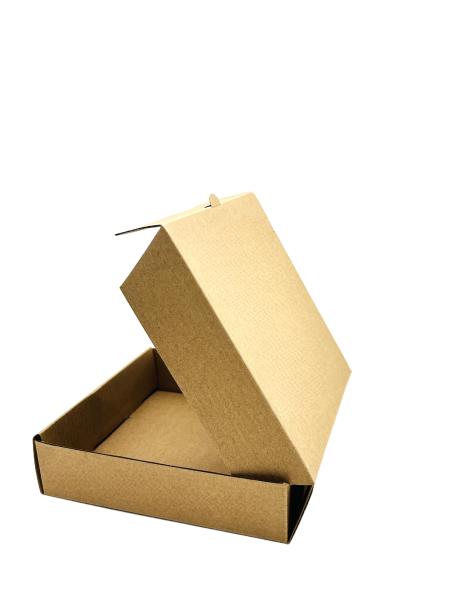 Quality Low Price Wholesale Disposable Biodegradable Custom Pattern Paper Pizza Box with for sale