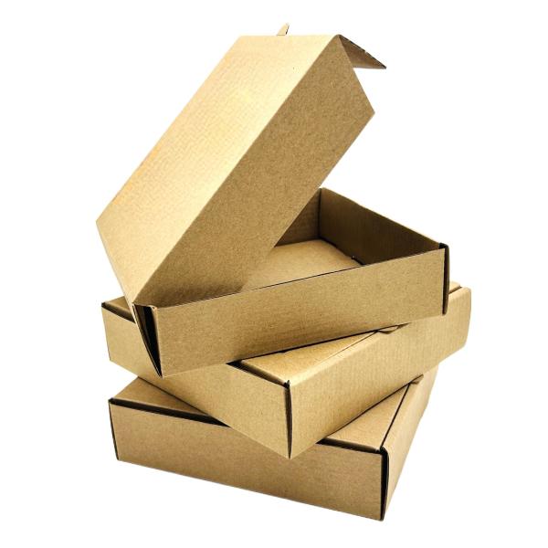 Quality Hot Sale Custom Portable Food Packing Pizza Box Kraft Paper Box With Printed Logo for sale