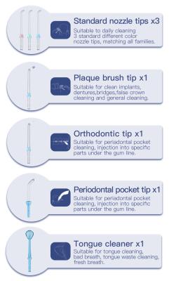 Cina modo di lavoro elettrico di 600ml Jet Oral Hygiene Water Flosser 10+ in vendita