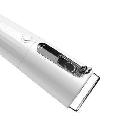 Cina Acqua astuta Flosser, Irrigator orale senza cordone di modi di DIY con il grande serbatoio di acqua in vendita