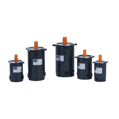 China GDM-10SC 6DC Dc Motor 3000 Rpm 200 Watt Dc Motor Home Appliance for sale