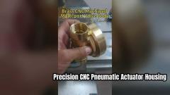 CNC Brass Multi-Port Valve Body