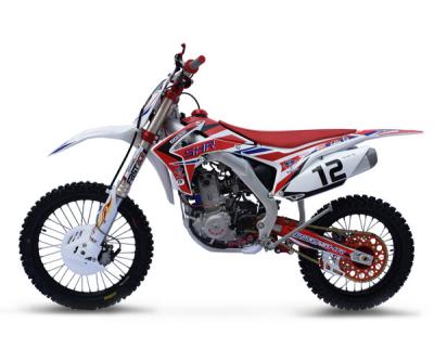 Cina 2019 Hot-selling con motore potente 250cc Moto da corsa in vendita