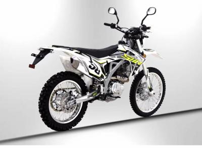 Cina Modello di nuovo design 2019 con motore potente da 250cc in vendita