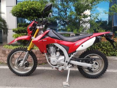 Cina Kick Starter Motorbike a benzina da corsa Dirt Bike 250cc resistente alle intemperie in vendita