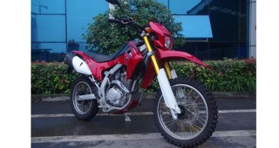 Cina Motore ZS 250cc 300cc 450cc Dirt Bike Motocicletta 200W - 350W Potenza in vendita