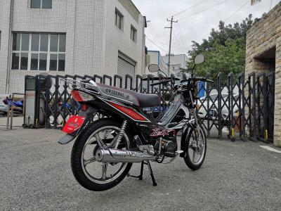 Cina Vendita diretta di fabbrica di alta qualità Classic Cub 110cc in vendita