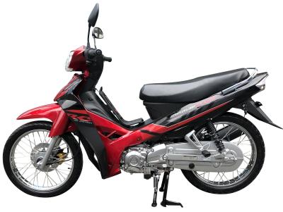 Cina New Hongli Super Cheap Chongqing 110CC YB Engine Cub motocicletta in vendita