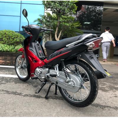 Cina Cina eccezionale e potente mini ciclomotore 110cc cubo in vendita